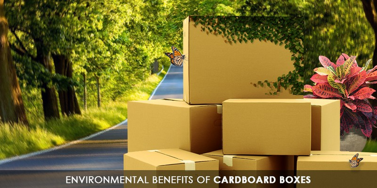 Environmental Benefits of Cardboard Boxes – Packing Solution